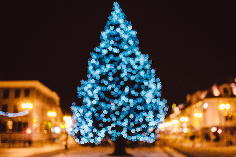 Où voir les sapins de Noël de Washington, DC | Visiting Washington